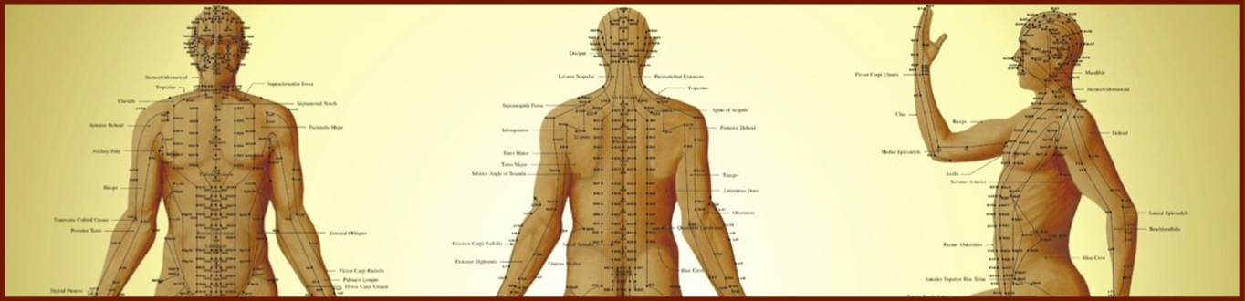 Acupuncture Care – Obtain knowledge, have hope, heal, transform, and be ...